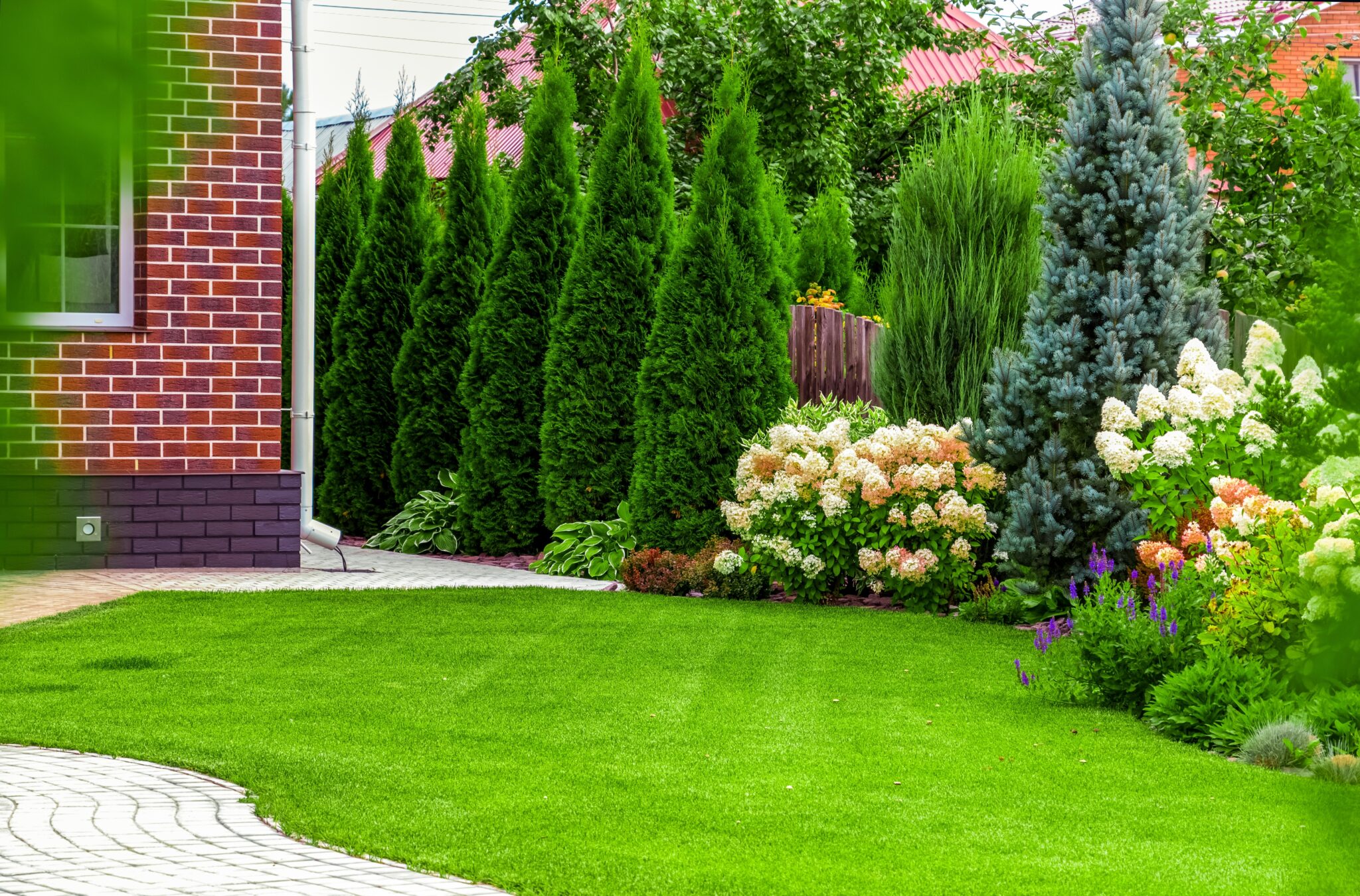 Tree and Shrub Fertilizer: Enhance Your Trees Health and Growth