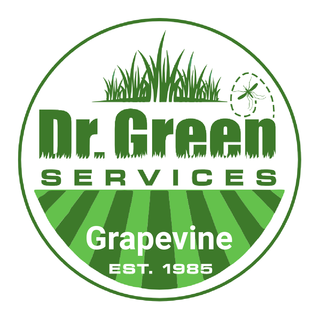 Grub Control in Grapevine, TX | Complete Lawn Protection