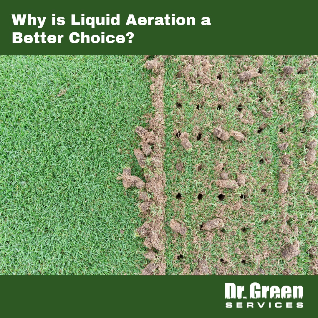 Core Aeration Damage: Why Liquid Aeration Works Better