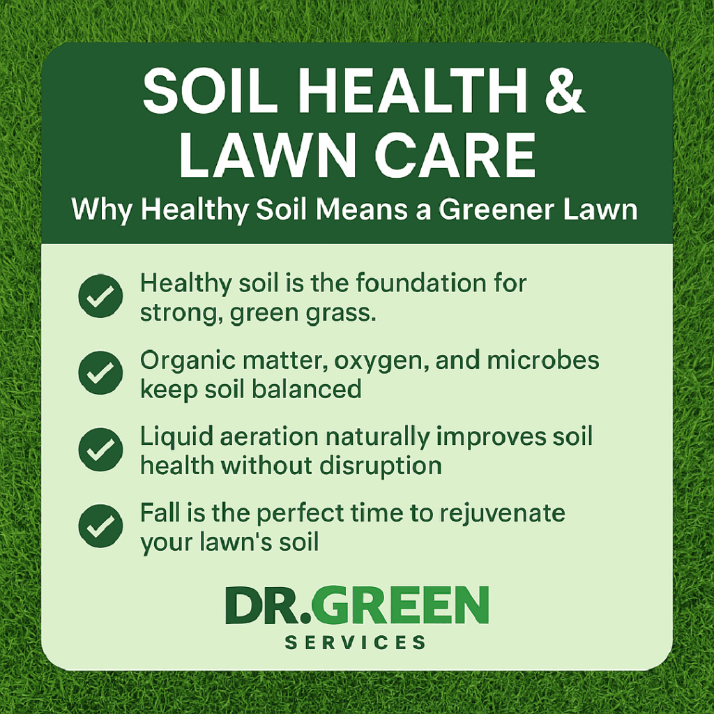 Soil Health Lawn Care | Boost Your Lawn with Dr. Green Services