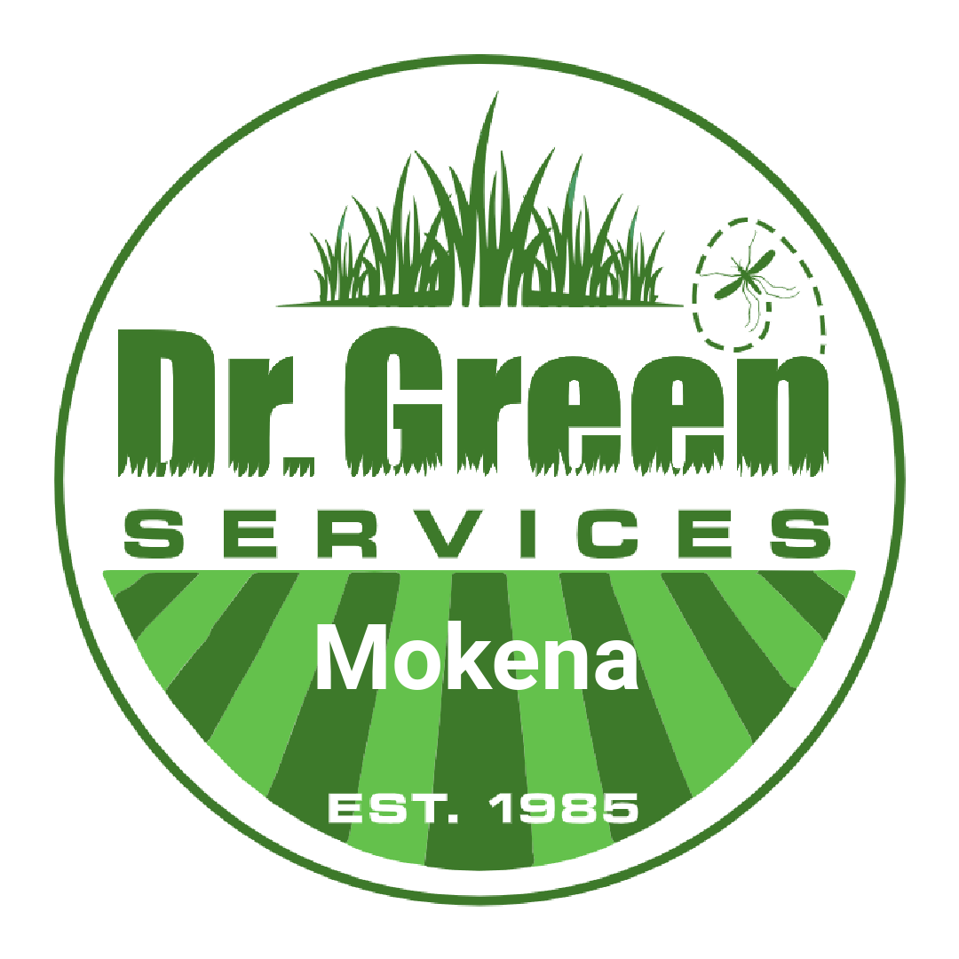 Best Weed Control in Mokena | Dr. Green Services
